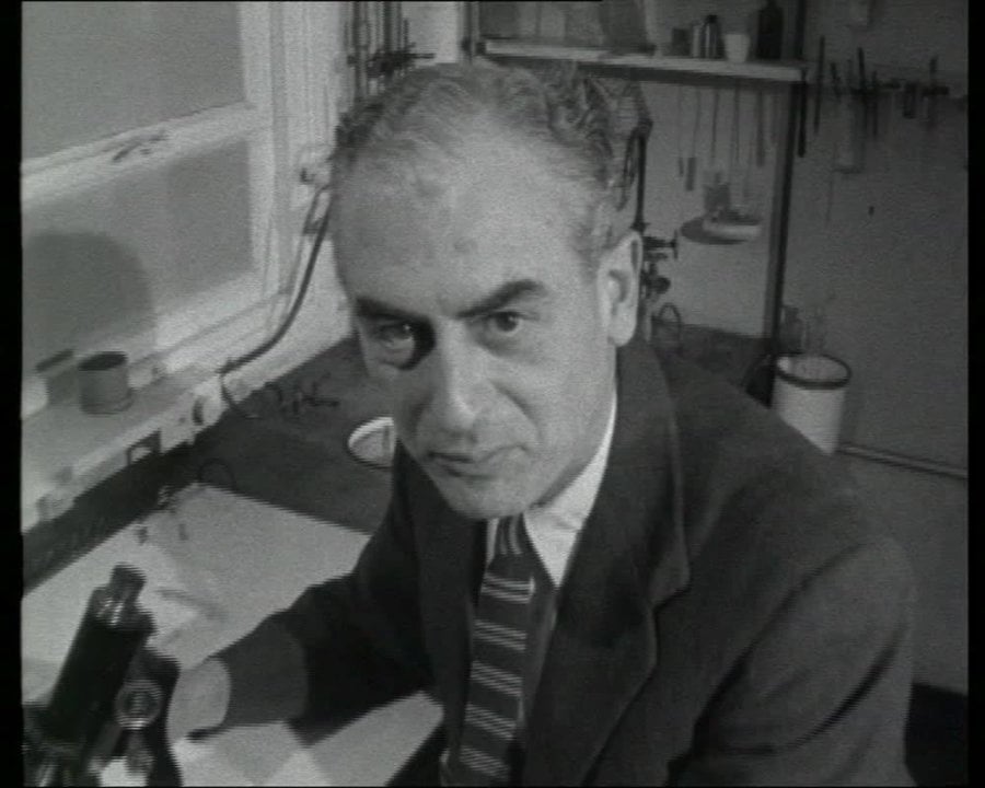 Peter Medawar's Instagram, Twitter & Facebook on IDCrawl