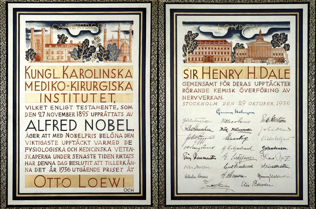 Sir Henry Dale – Nobel diploma - NobelPrize.org