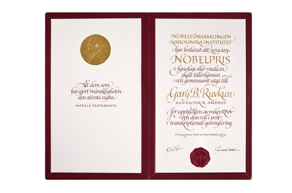Gary Ruvkun – Nobel Prize diploma - NobelPrize.org