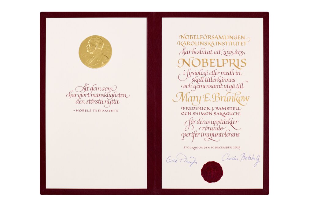 Mary E. Brunkow – Nobel Prize diploma - NobelPrize.org