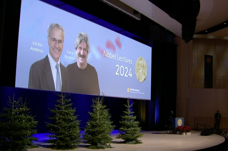 The official website of the Nobel Prize - NobelPrize.org