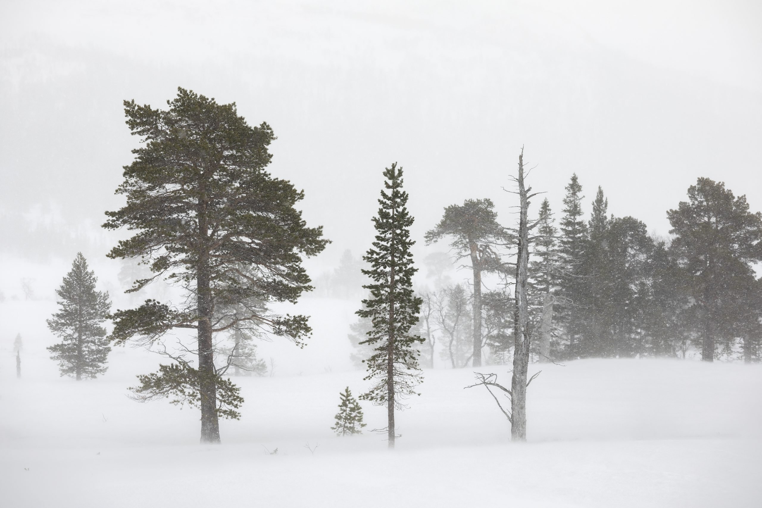 Photographs and films by Karin Alfredsson will be on display at the ...