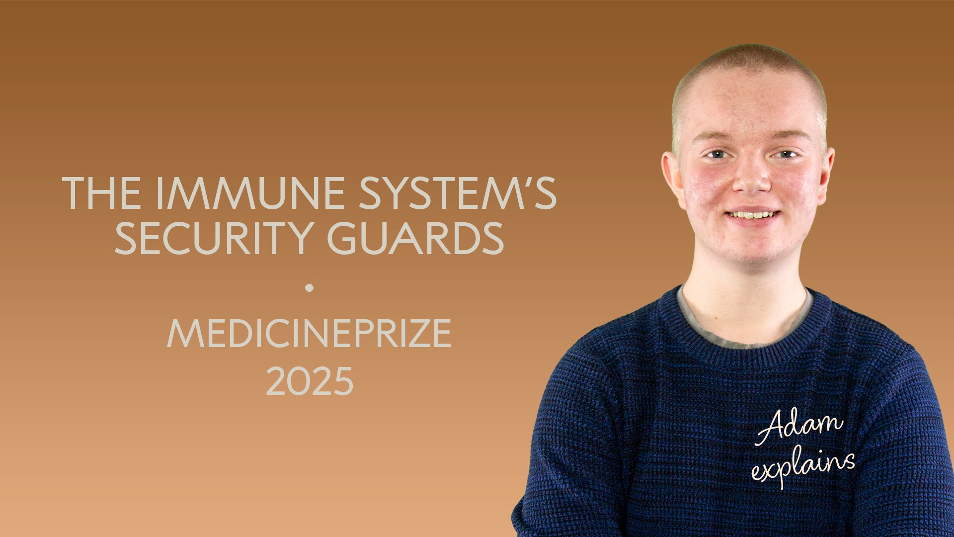 2025 economic sciences prize: One-minute crash course - NobelPrize.org